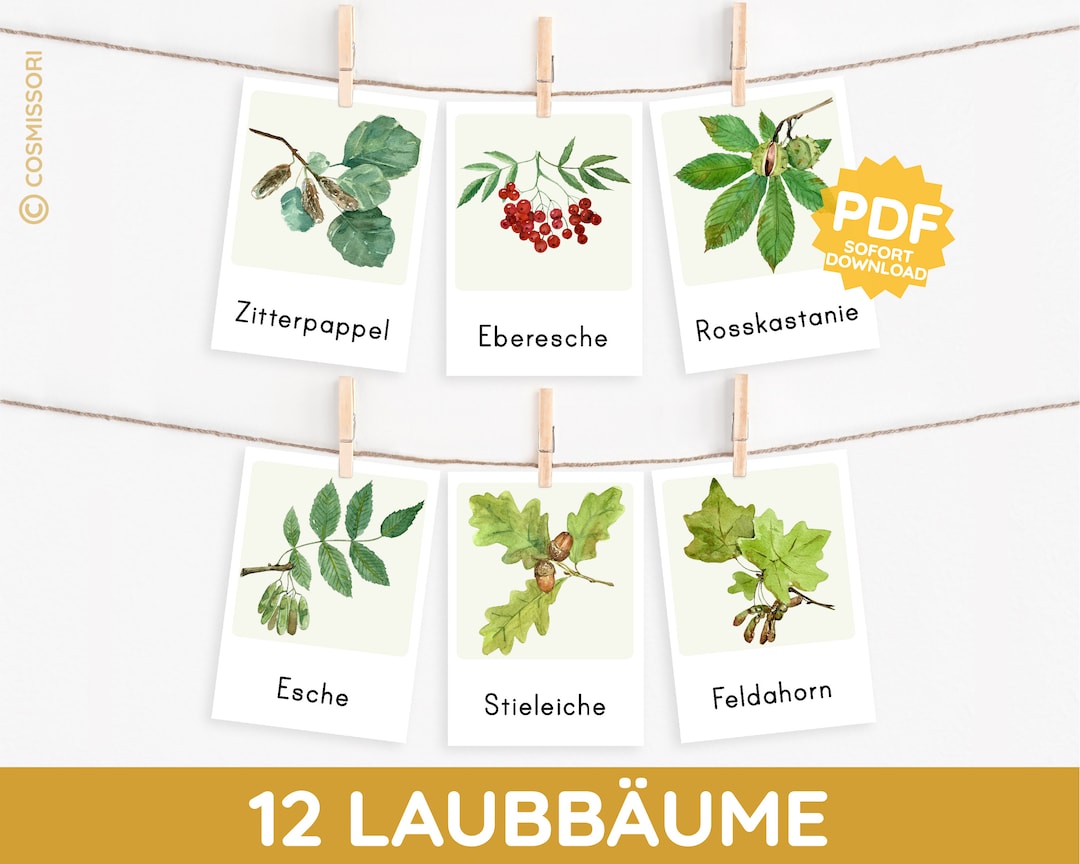 Trees: Leaf & Fruit Montessori Watercolor Picture Card Learning Card ...
