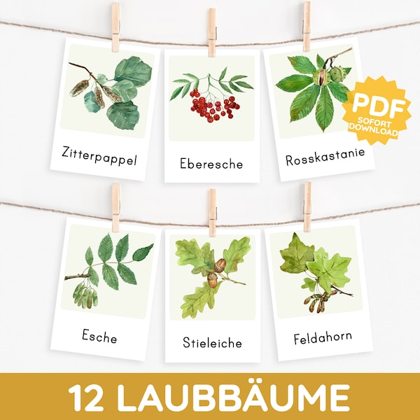 Montessori Bookshelf - Etsy