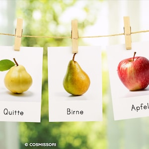 Fruit Photo Flash Cards Montessori Picture Cards Learning Cards ...