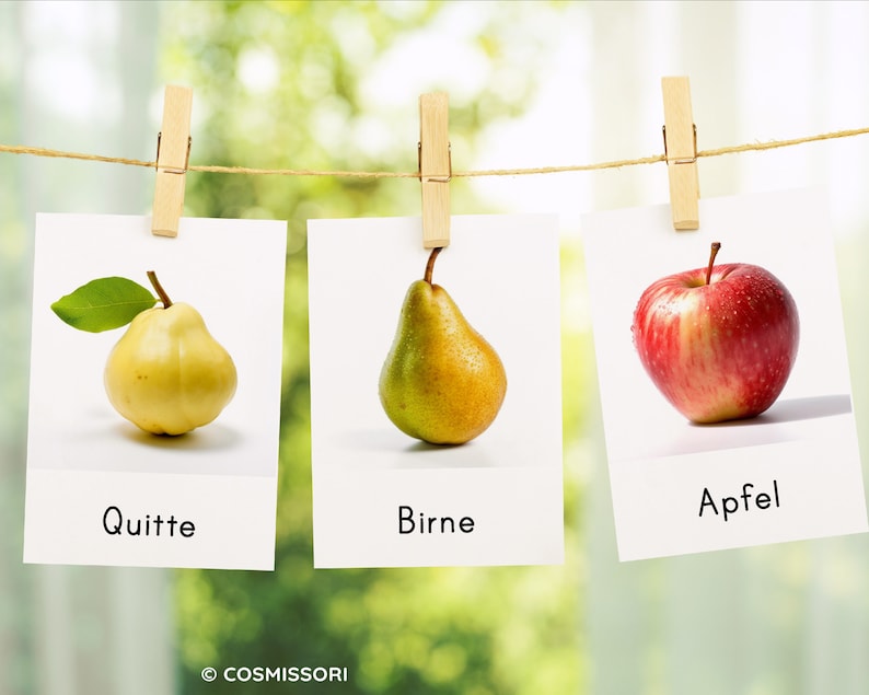 Obst Foto Flash Cards Montessori Bildkarten Lernkarten - Etsy