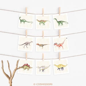 50 Dinosaurs A-Z Montessori Picture Cards Learning Cards Flash Cards ...