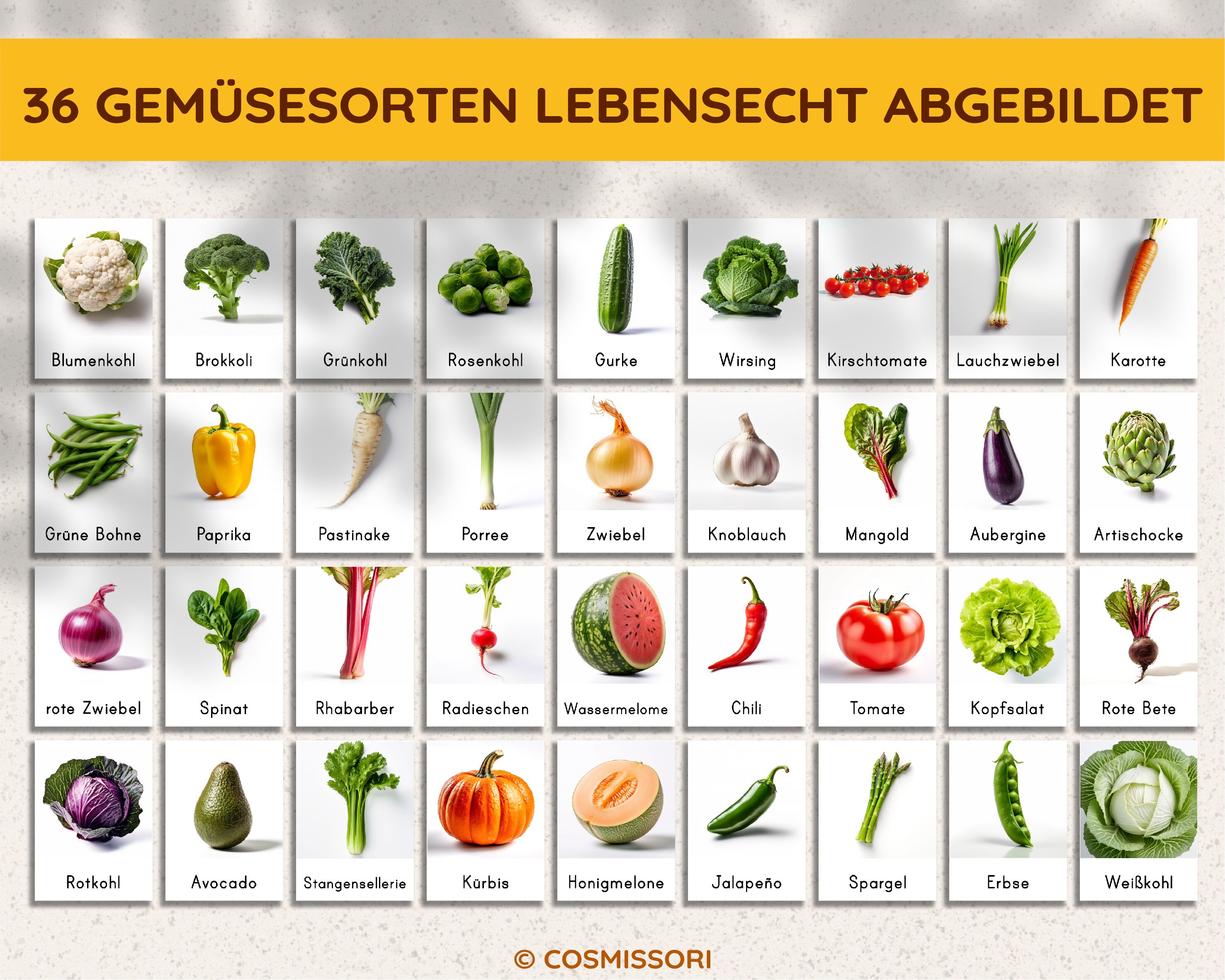 Lifelike Vegetable Montessori Photo Nomenclature Cards Flash Cards ...
