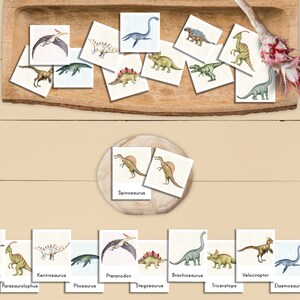 50 Dinosaurs A-Z Montessori Picture Cards Learning Cards Flash Cards ...