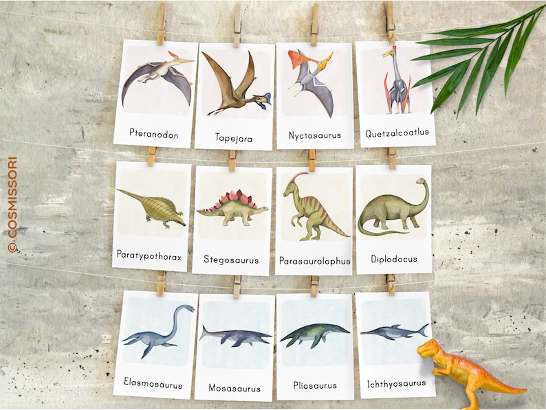 50 Dinosaur A-Z Montessori Picture Cards, Learning Cards, Flash Cards ...