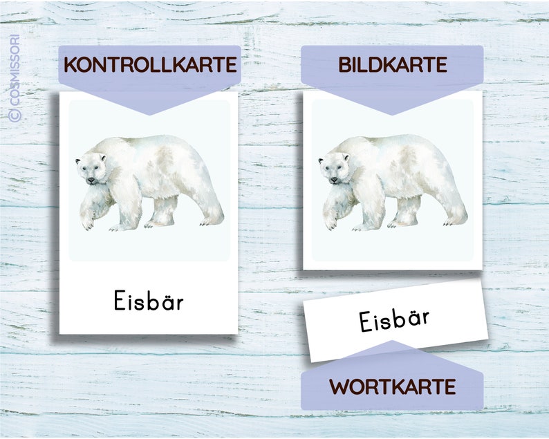Animals of the Polar Regions ARCTIC ANTARCTIC Montessori Flash Cards ...