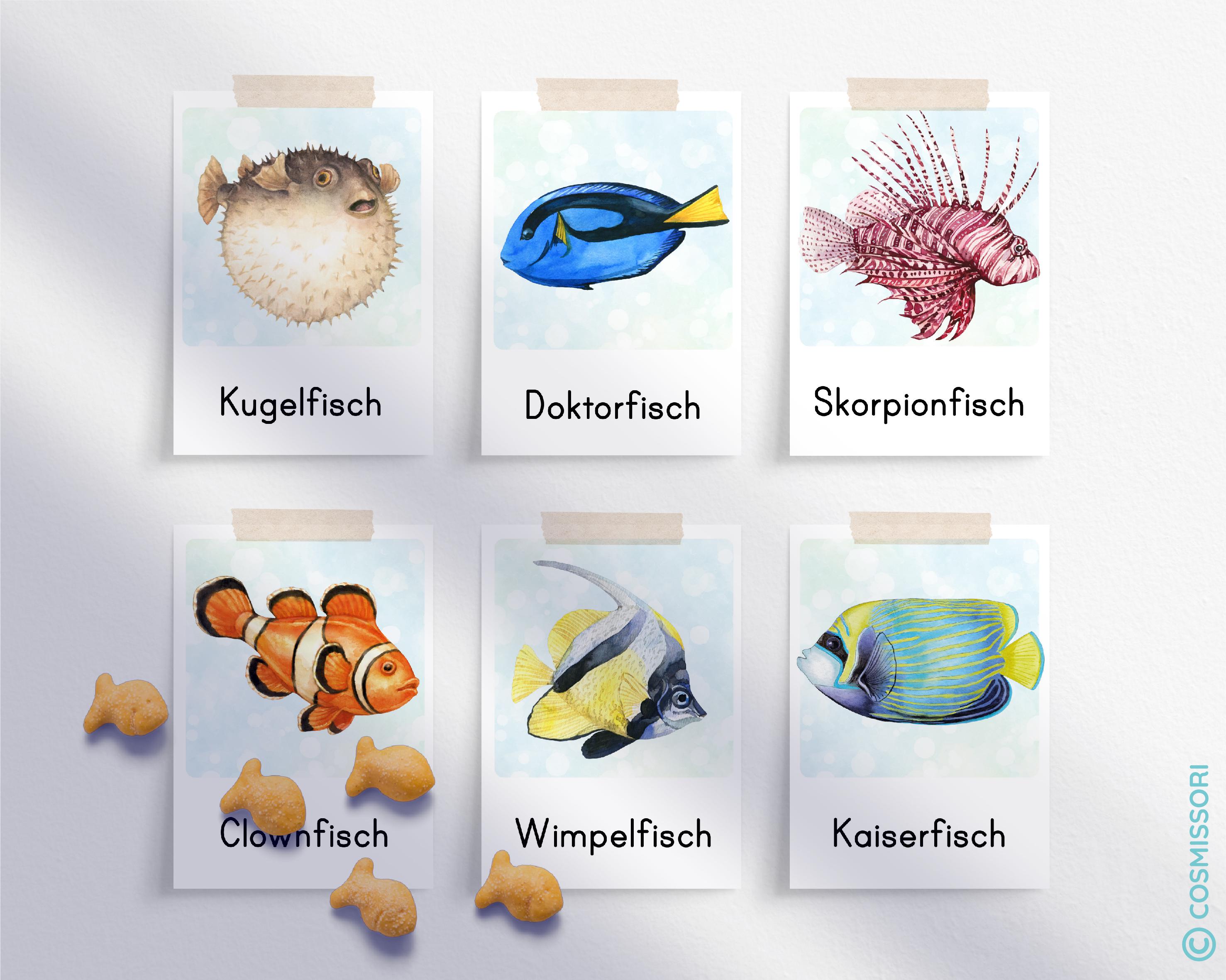 36 Sea Animals Montessori Picture Cards Learning Cards Ocean Animals ...