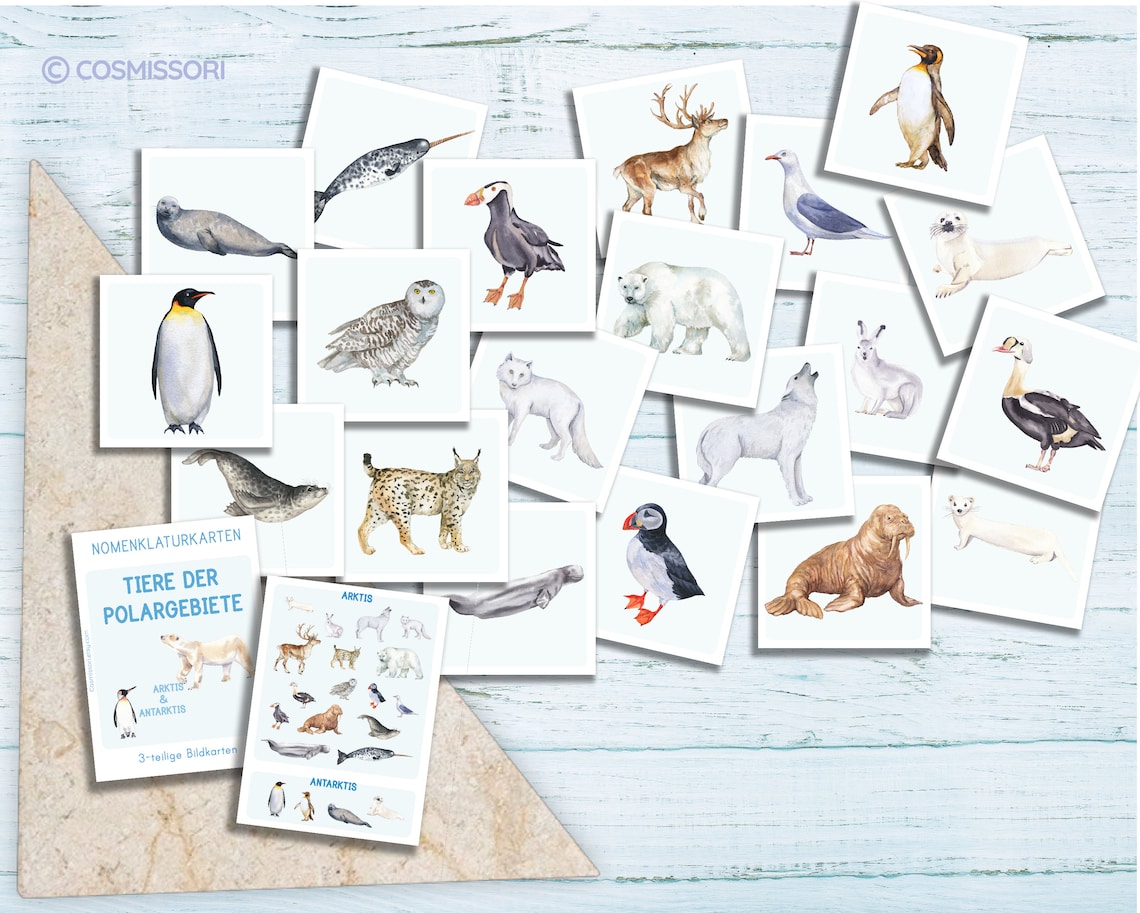 Animals of the Polar Regions ARCTIC ANTARCTIC Montessori Flash Cards ...