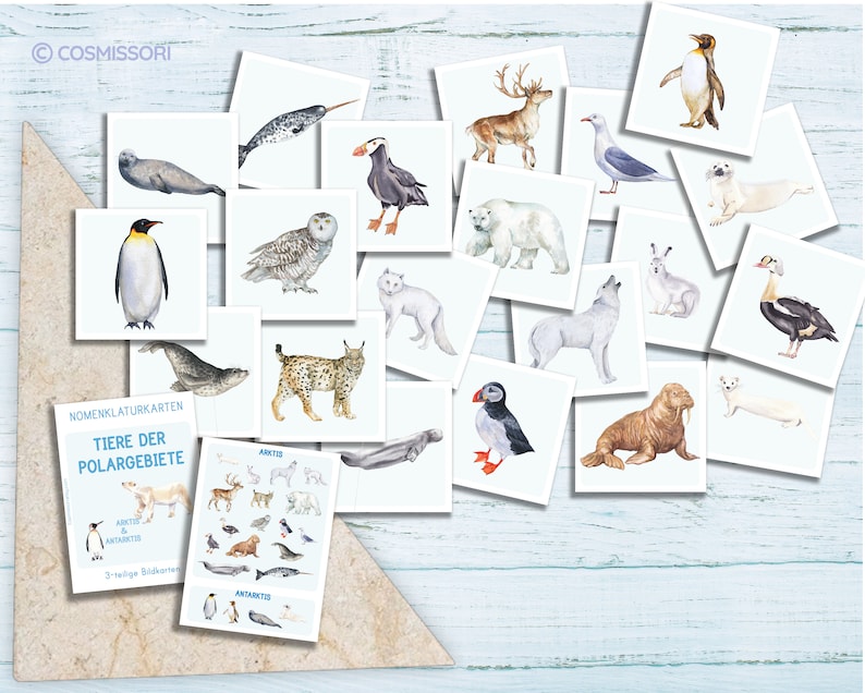 Animals of the Polar Regions ARCTIC ANTARCTIC Montessori Flash Cards ...