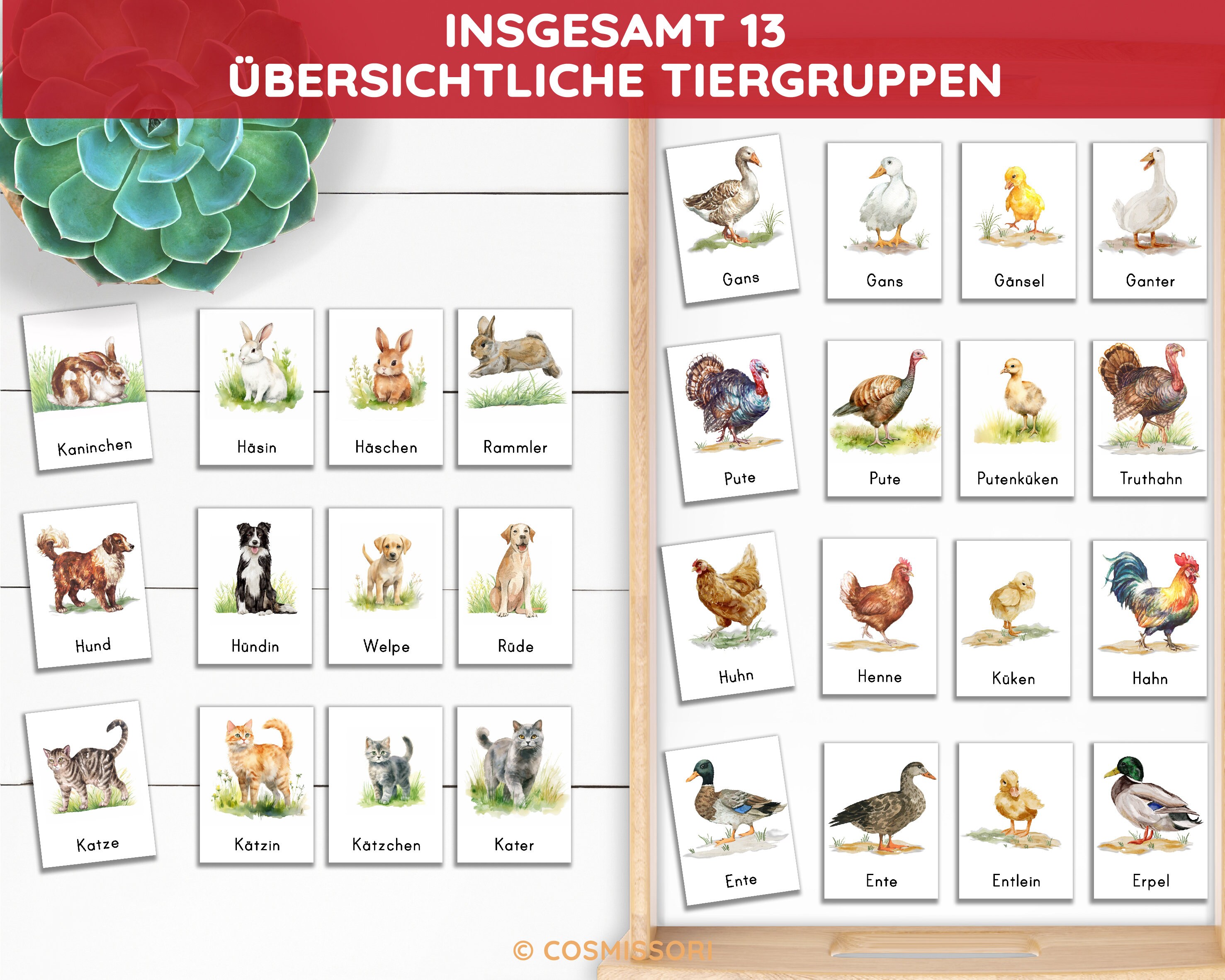 50 Realistic Farm Animals Montessori Flashcard Picture Card Word Card ...