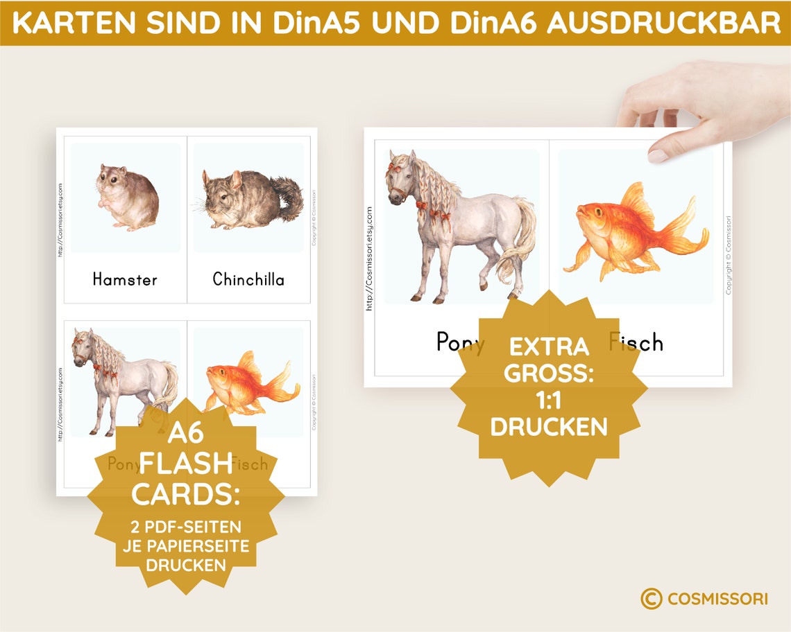 PETS Montessori Picture Cards Watercolor Learning Cards Small Animal ...