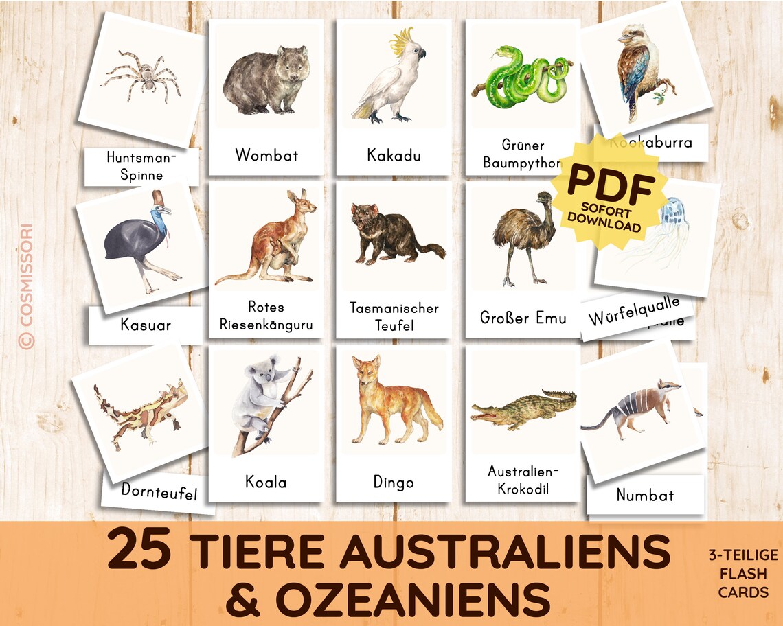 Animals of Australia & Oceania Montessori Picture Cards, Learning Cards ...