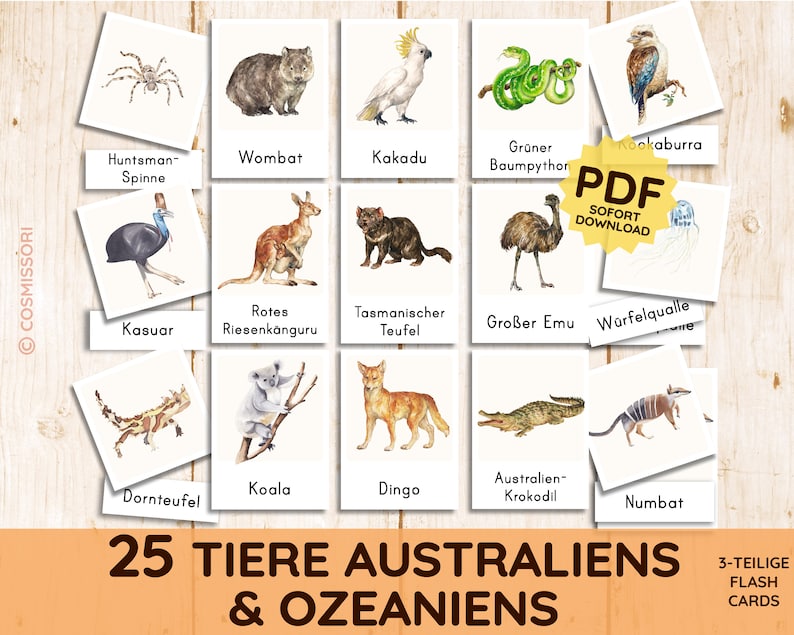 Animals of Australia & Oceania Montessori Picture Cards, Learning Cards ...