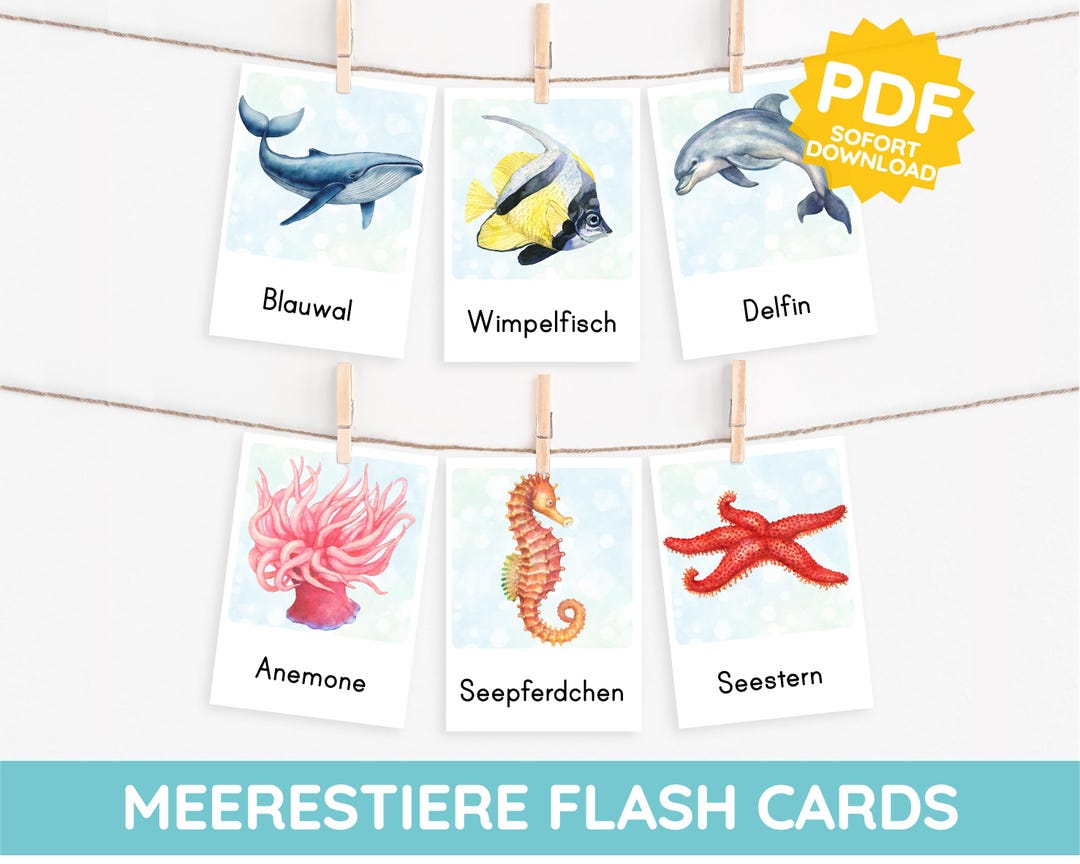 36 MARINE ANIMALS Montessori Picture Cards Learning Cards Ocean Animals ...