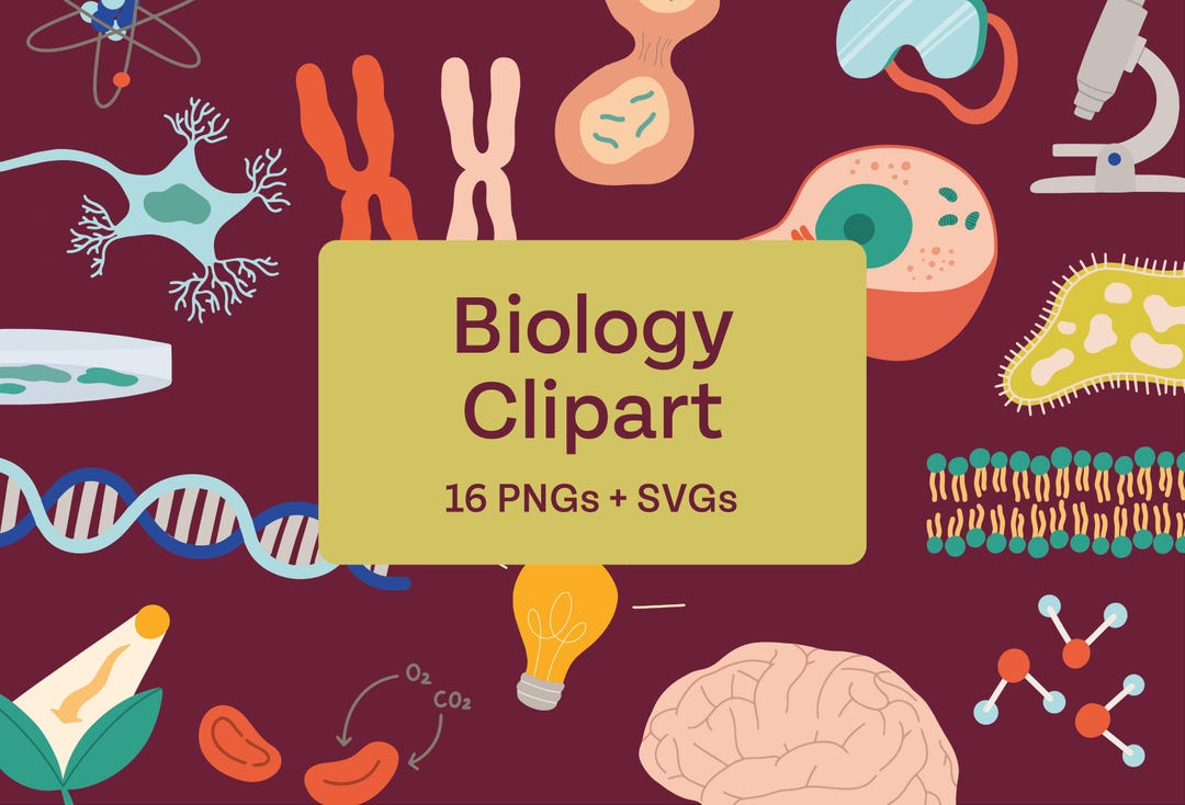 Colourful Biology Clipart Bundle Illustrated Science Graphics PNG SVG ...