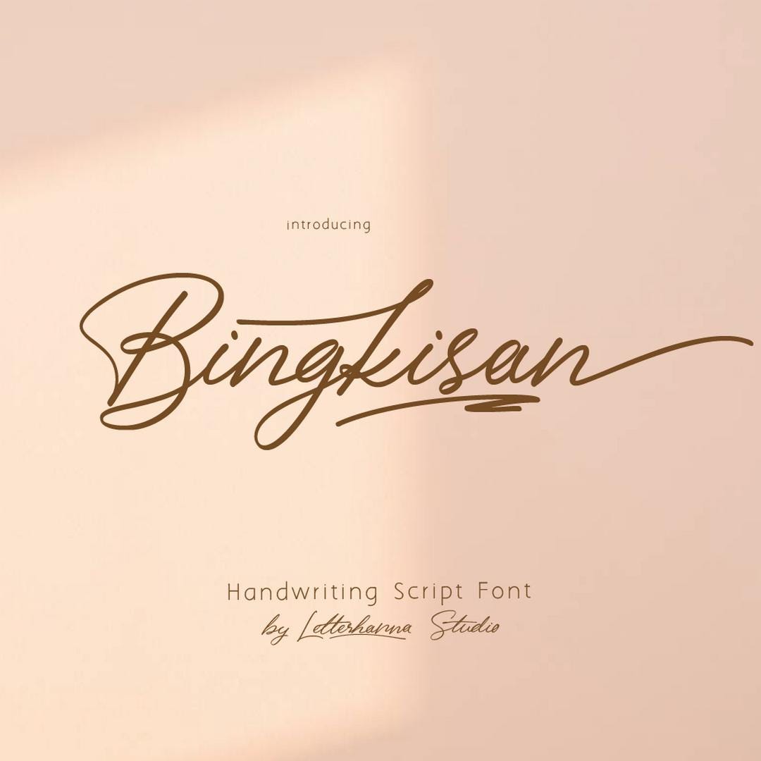 Logo Script Font for Photography Branding Commercial OTF TTF Chic ...