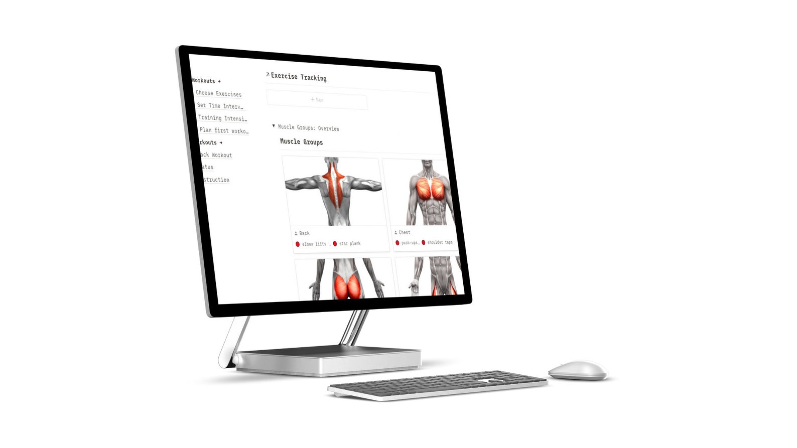 Daily Workout & Gym Tracker in Notion - Exercises for All Muscle Groups ...