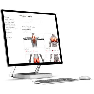 Daily Workout & Gym Tracker in Notion - Exercises for All Muscle Groups ...