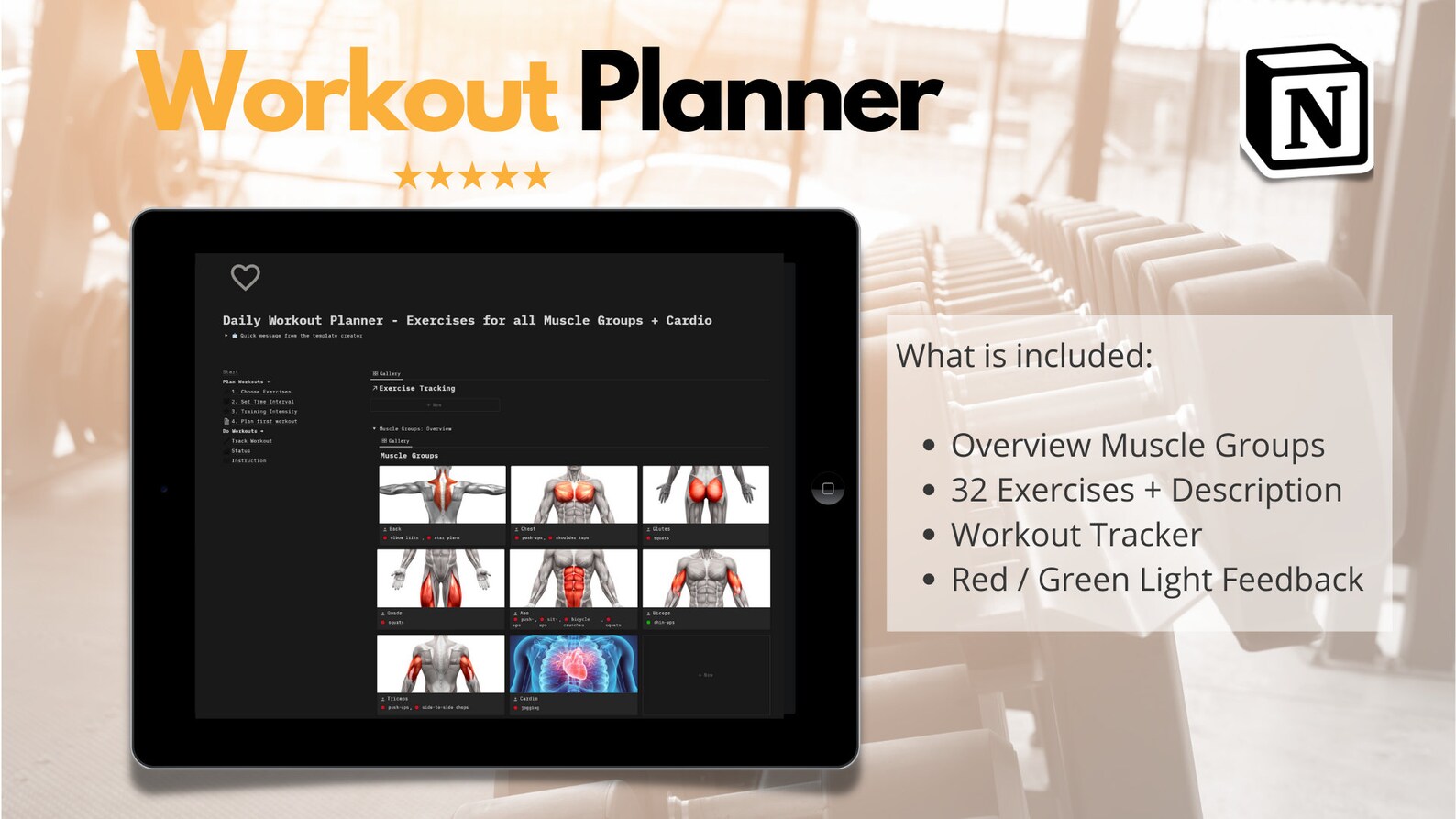 Daily Workout & Gym Tracker in Notion - Exercises for All Muscle Groups ...