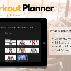 Daily Workout & Gym Tracker in Notion - Exercises for All Muscle Groups ...