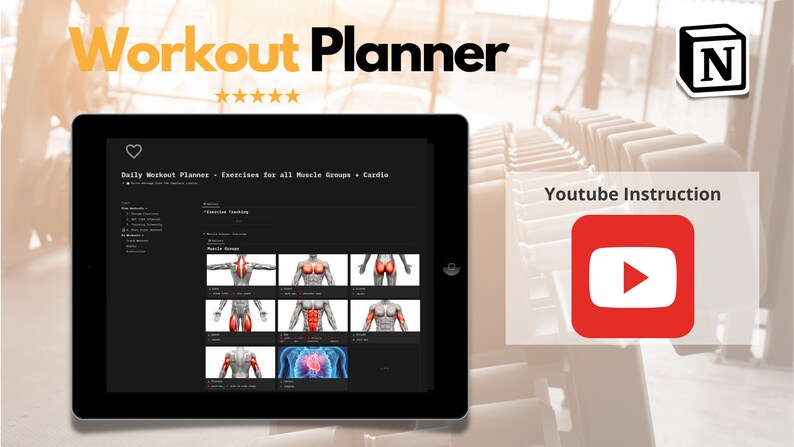 Daily Workout & Gym Tracker in Notion - Exercises for All Muscle Groups ...