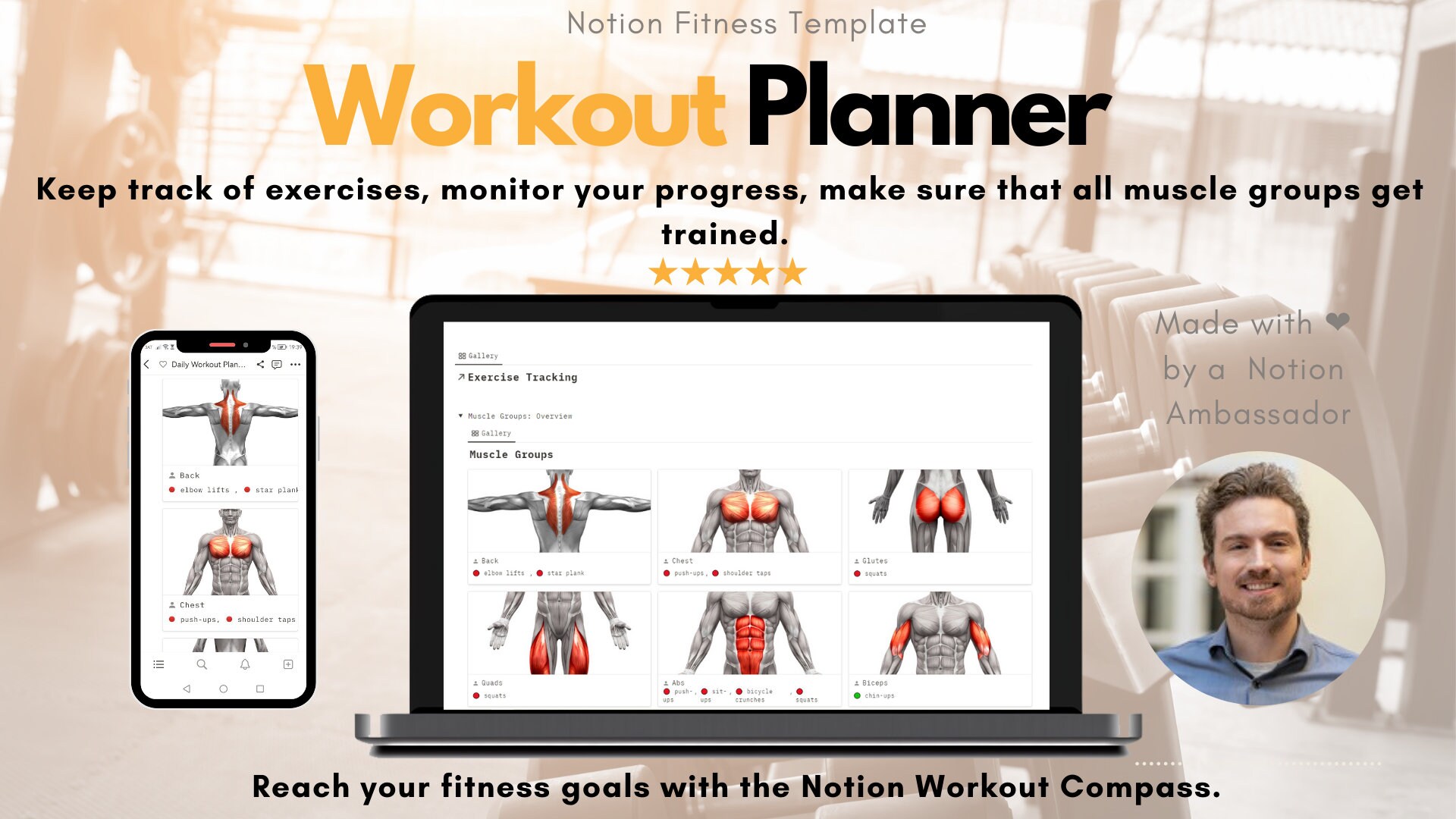 Daily Workout & Gym Tracker in Notion - Exercises for All Muscle Groups ...