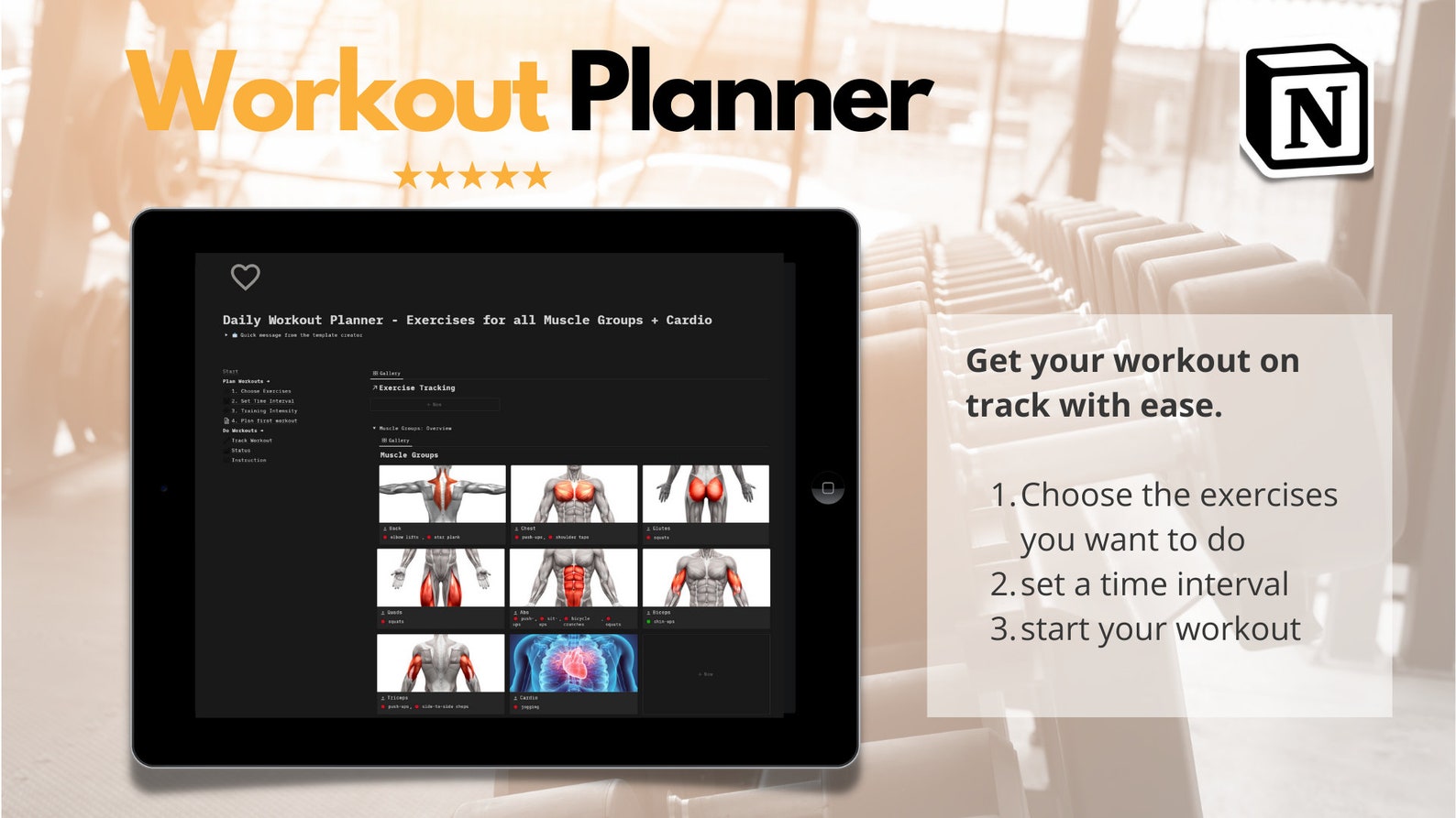 Daily Workout & Gym Tracker in Notion - Exercises for All Muscle Groups ...