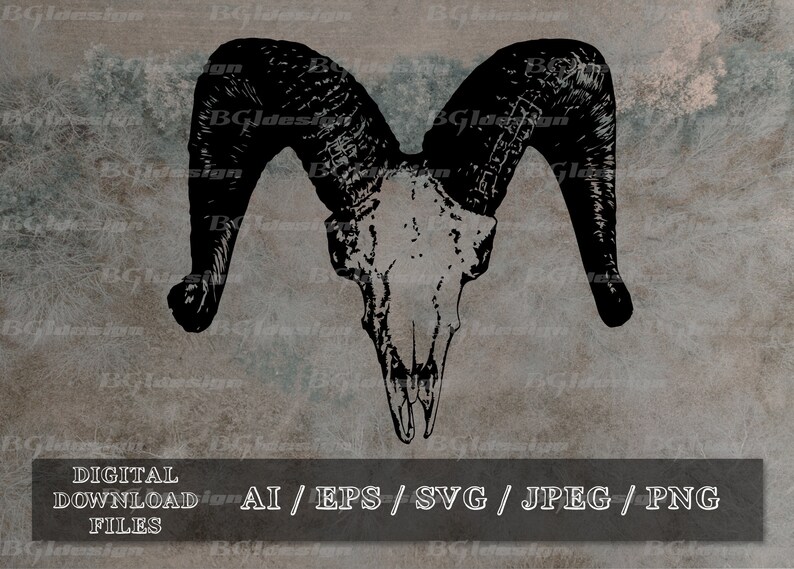 Bighorn Skull Vector Eps / Ai / Svg / Png Bighorn Sheep | Etsy
