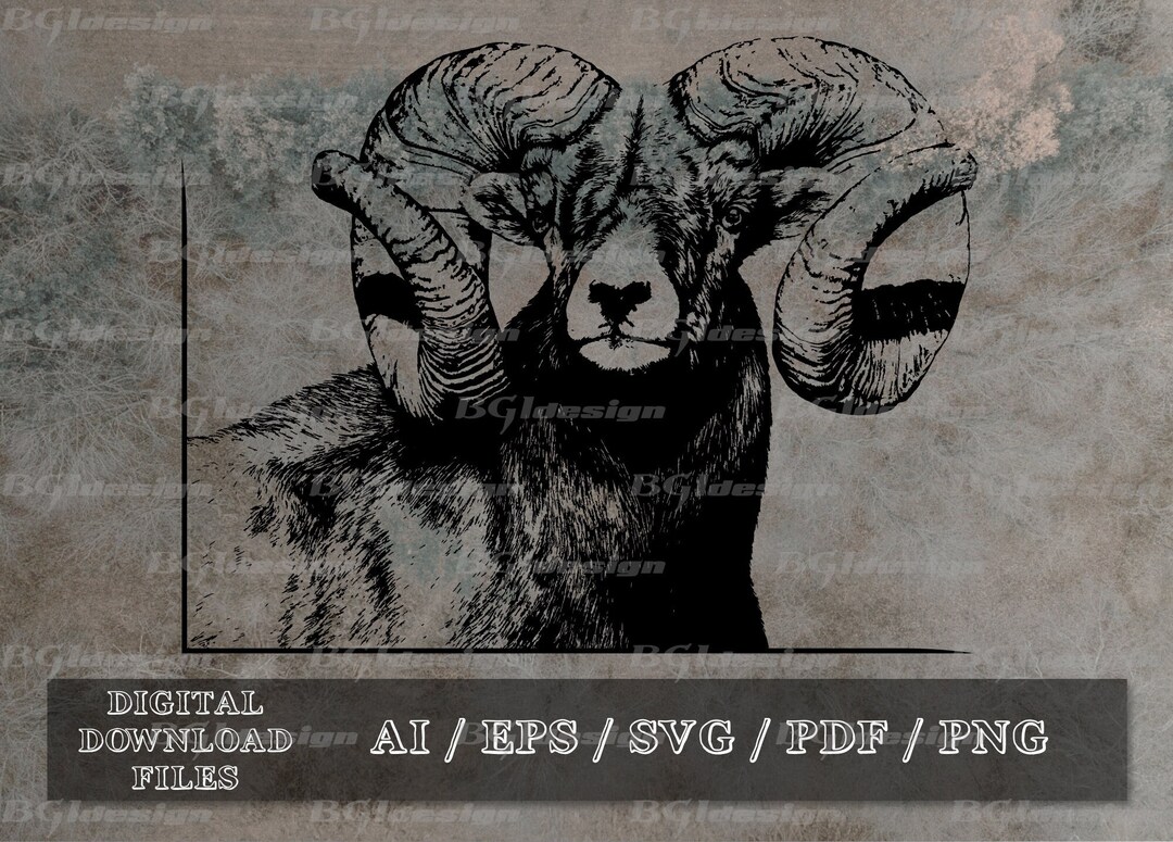 Bighorn Ram 7 Vector Eps / Ai / Svg / Pdf / Png Bighorn Sheep ...