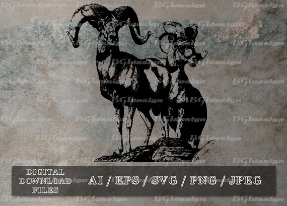 Bighorn Ram 3 Vector Eps / Ai / Svg / Png Bighorn Sheep - Etsy