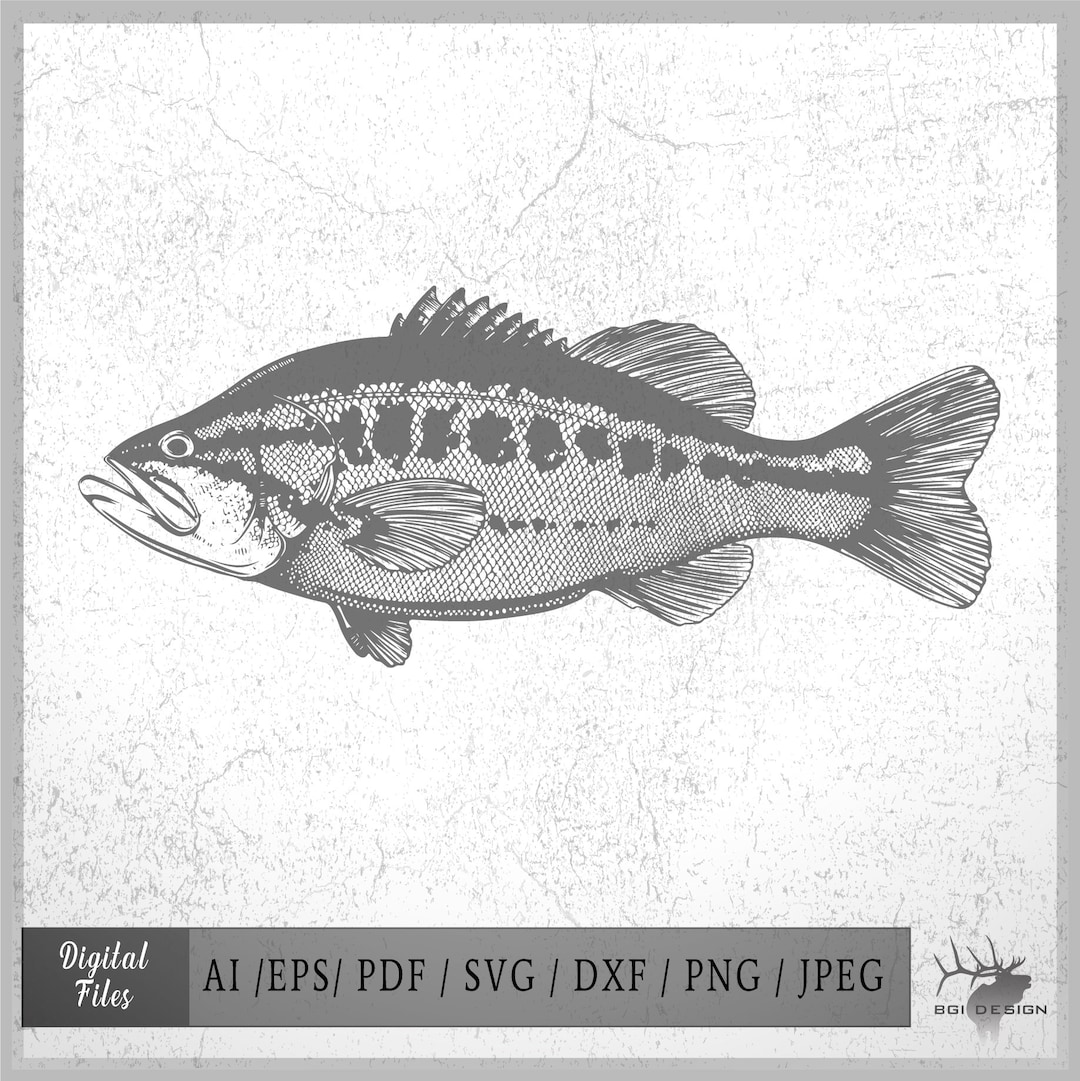 Baas 5573 Vector Eps / Ai / Svg / Png Fish Fishing - Etsy