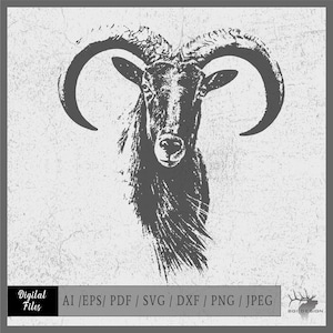 Aoudad 1 Vector Eps / Ai / Svg / Dxf / Pdf / Png / Jpeg Barbary Sheep ...