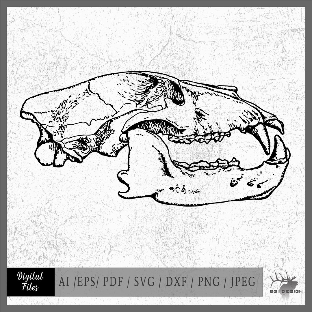 Bear Skull Bundle Vector Eps / Ai / Svg / Png - Etsy