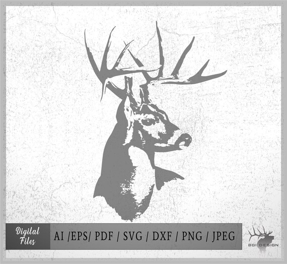 Whitetail Deer Vector