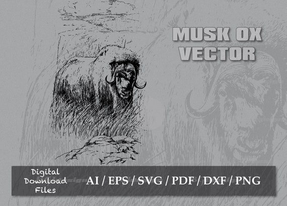 Musk Ox Vector Eps / Ai / Svg / Pdf / Dxf / Png Musk Ox - Etsy Canada