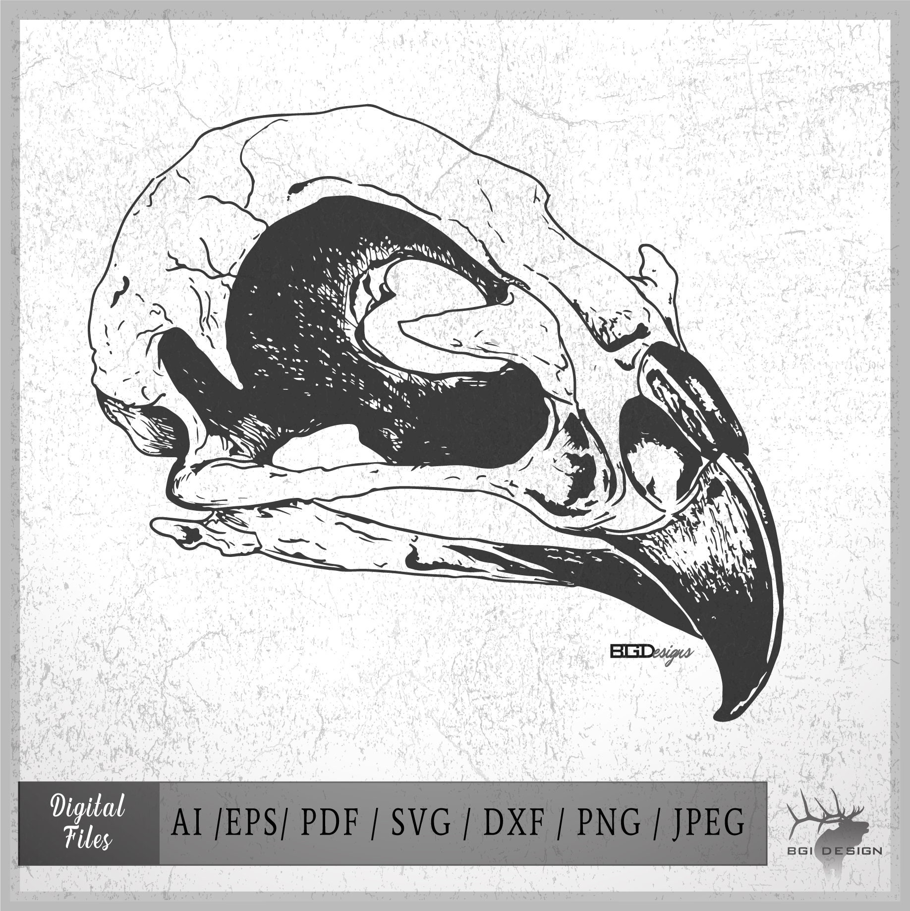 Bird Skull 1 Vector Eps / Ai / Svg / Dxf / Pdf / Png / Jpeg Crow Raven ...