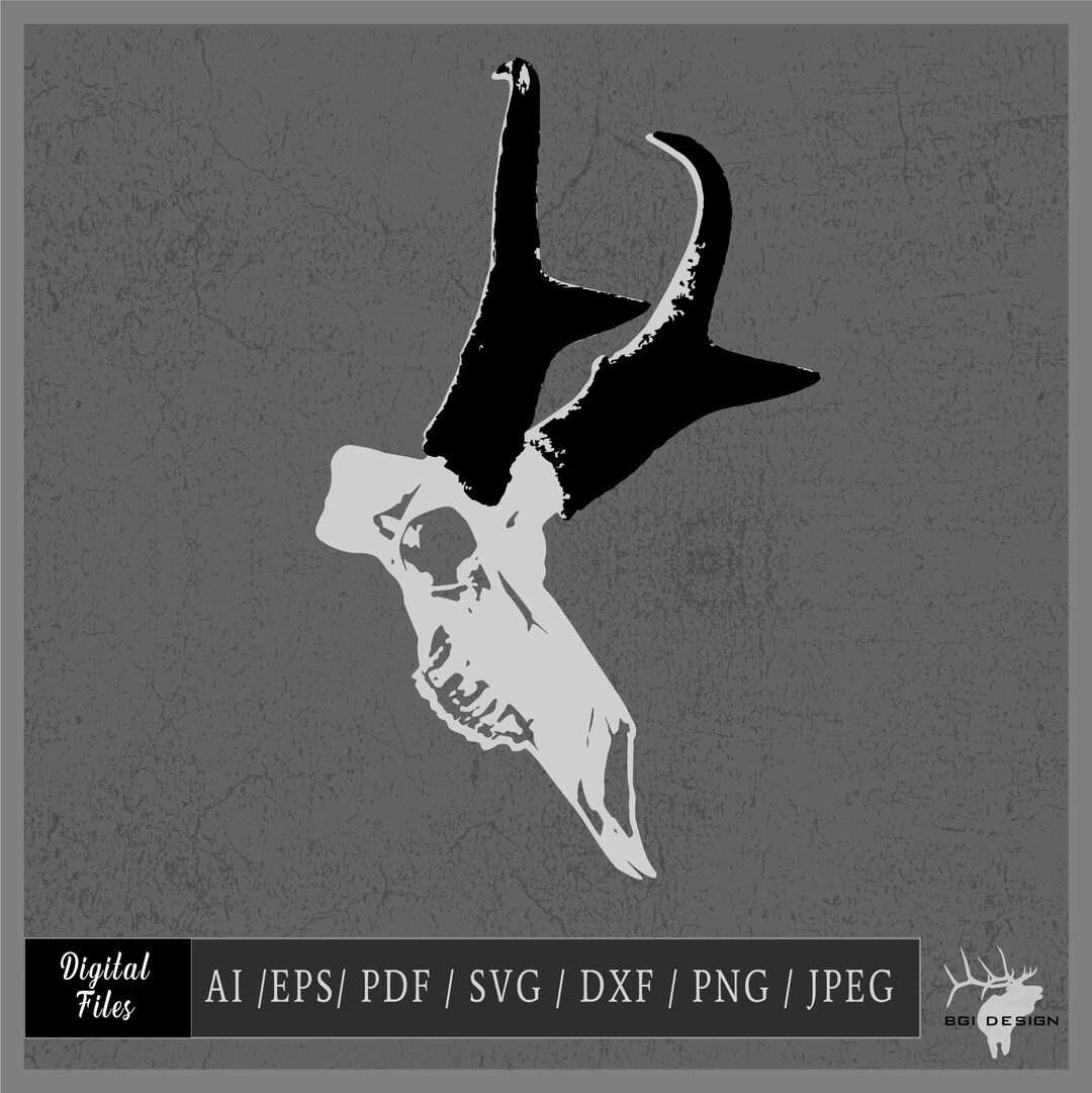 Pronghorn Skull 32 Vector Eps / Ai / Svg / Pdf / Dxf / Png / Jpeg ...