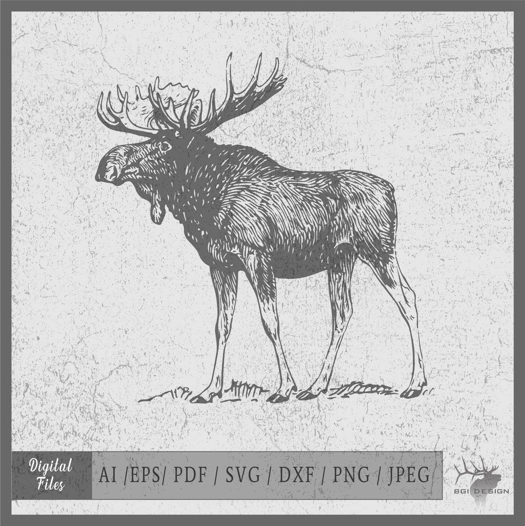 Moose 5 Vector Eps / Ai / Svg / Pdf / Dxf / Png / Jpeg - Etsy Canada