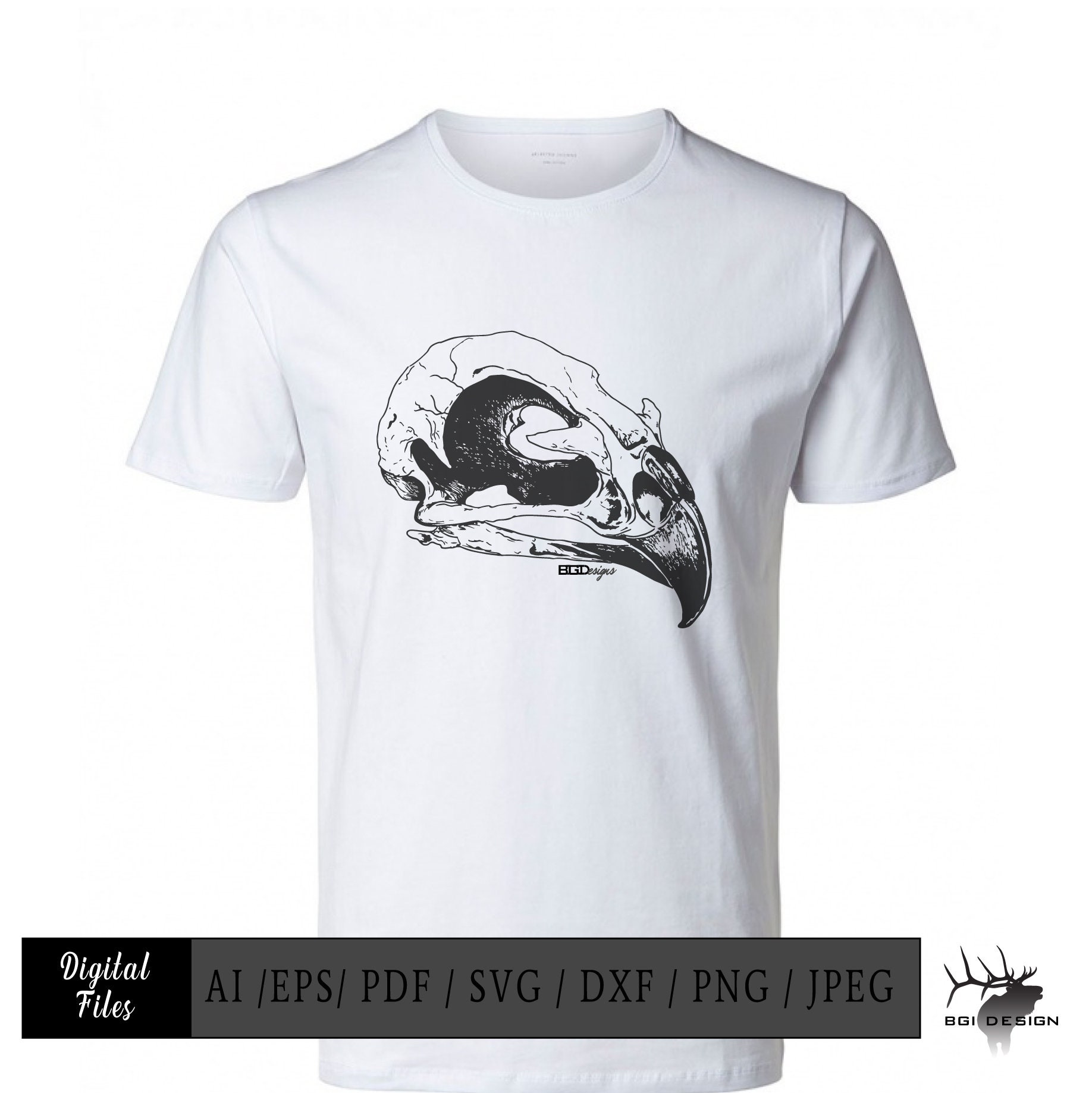 Bird Skull 1 Vector Eps / Ai / Svg / Dxf / Pdf / Png / Jpeg Crow Raven ...