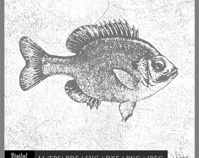 Bluegill Fish SVG Bundle - 5 Exquisite Aquatic Designs - Etsy Canada