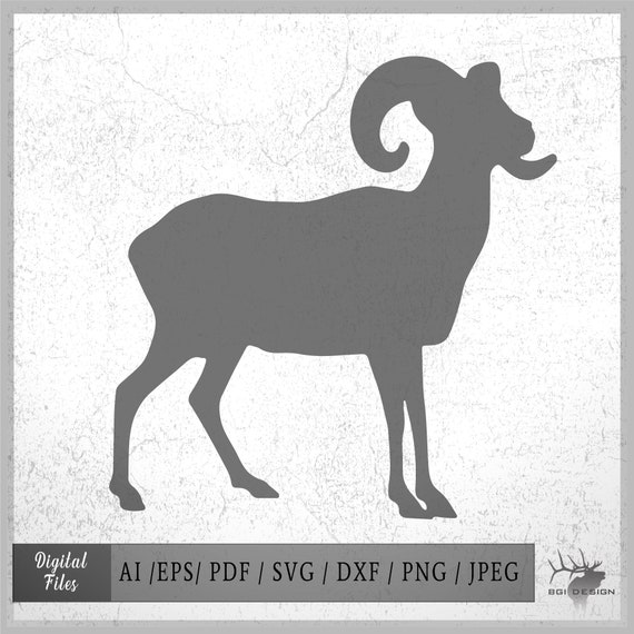 Bighorn Ram 5536 Vector Eps / Ai / Pdf / Jpeg / Png Bighorn - Etsy