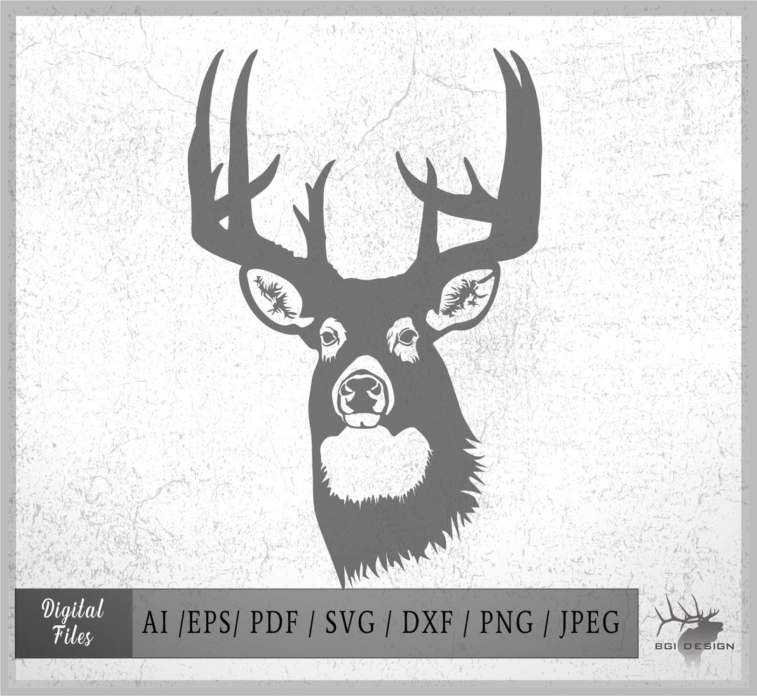 Whitetail Bust Buck Vector Eps / Ai / Pdf / Svg / Png / Jpeg Buck ...
