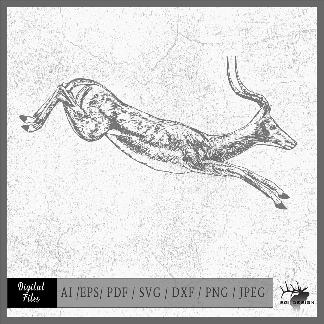 Impala 2 Vector Eps / Ai / Svg / Pdf / Dxf / Png / Jpeg Antelope Buck ...