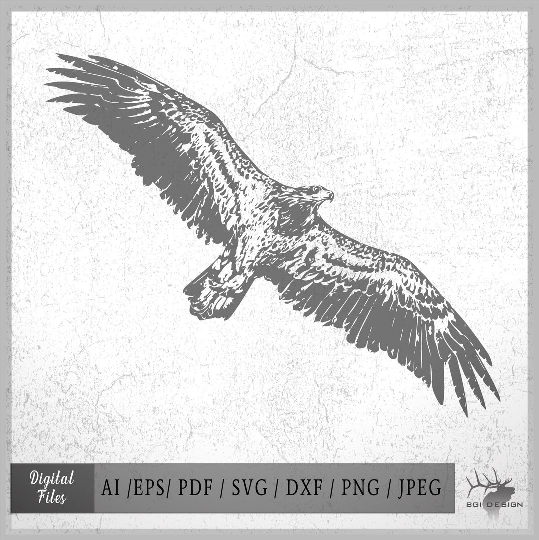 Hawk 2 Vector Eps / Ai / Svg / Png / Jpeg Hawk Eagle Flying - Etsy