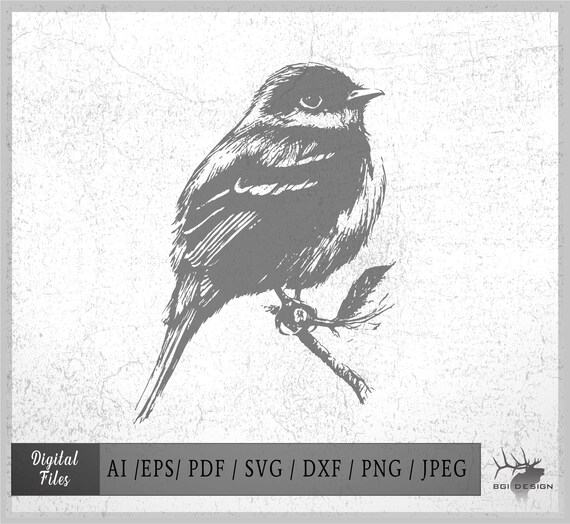 Bird 1 Vector Eps / Ai / Svg / Dxf / Pdf / Png / Jpeg Tweety - Etsy