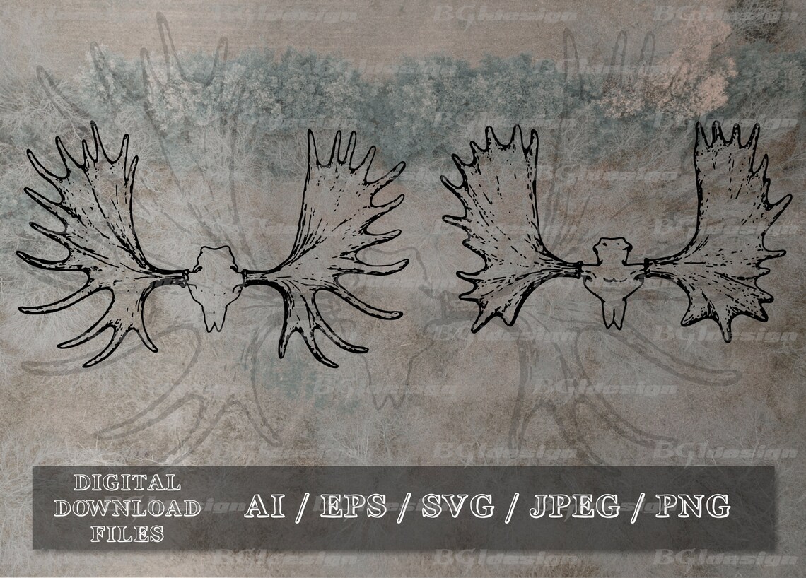 Moose Skull 2 Vector Eps / Ai / Svg / Png - Etsy