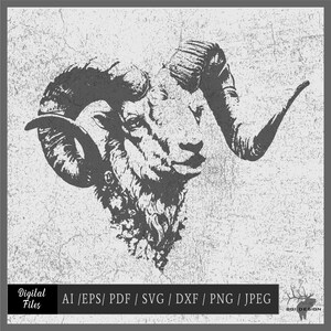 Dall Sheep 893 Vector Eps / Ai / Pdf / Dxf / Jpeg / Png Bighorn Sheep ...