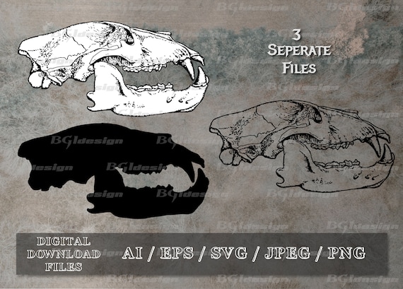 Bear Skull Bundle Vector Eps / Ai / Svg / Png | Etsy