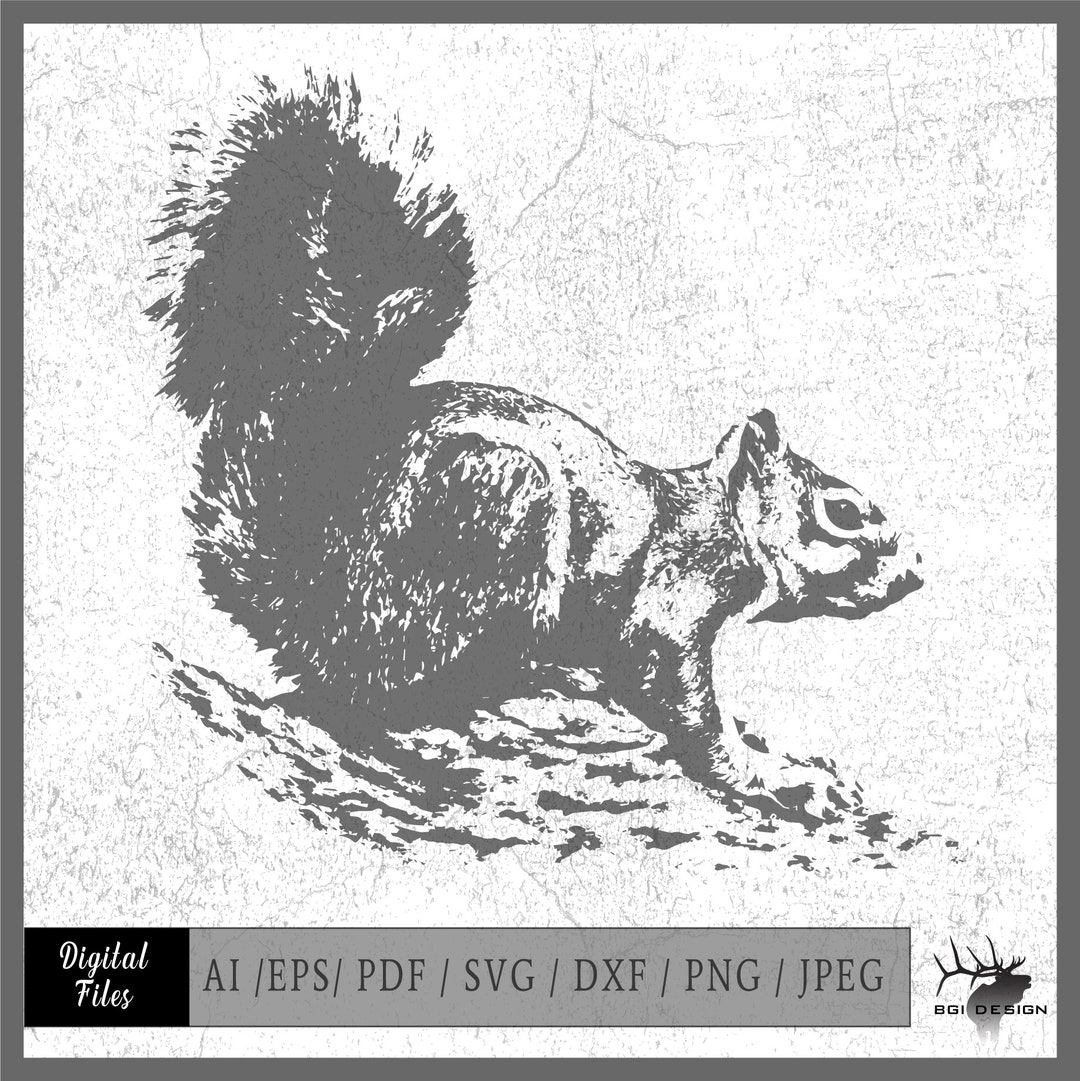 Squirrel Vector Eps / Ai / Svg / Pdf / Dxf / Png / Jpeg Squirrel - Etsy