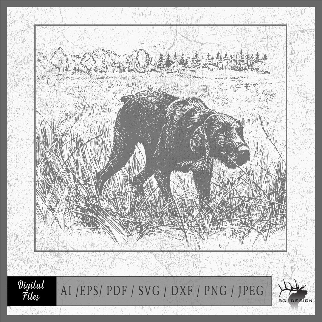 Hunting Dog 1 Vector Eps / Ai / Svg / Png Pheasant Hunting Chucker ...