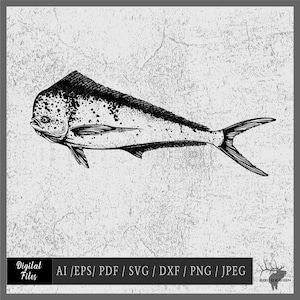 Mahi Mahi 01 Vector Eps / Ai / Svg / Dxf / Jpeg / Pdf / Png Fish ...